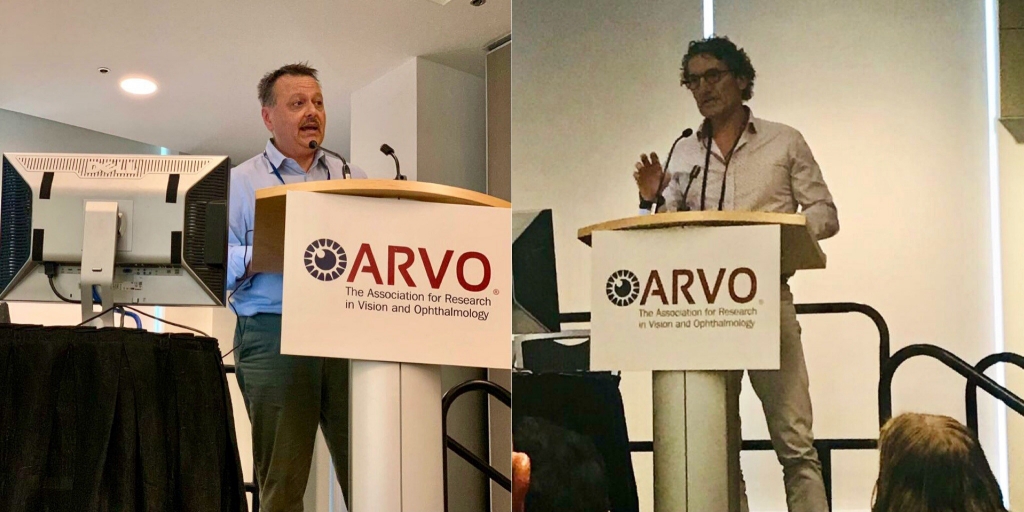 Jordi Monés presents at ARVO the hypothesis on Drusen ooze during the ...